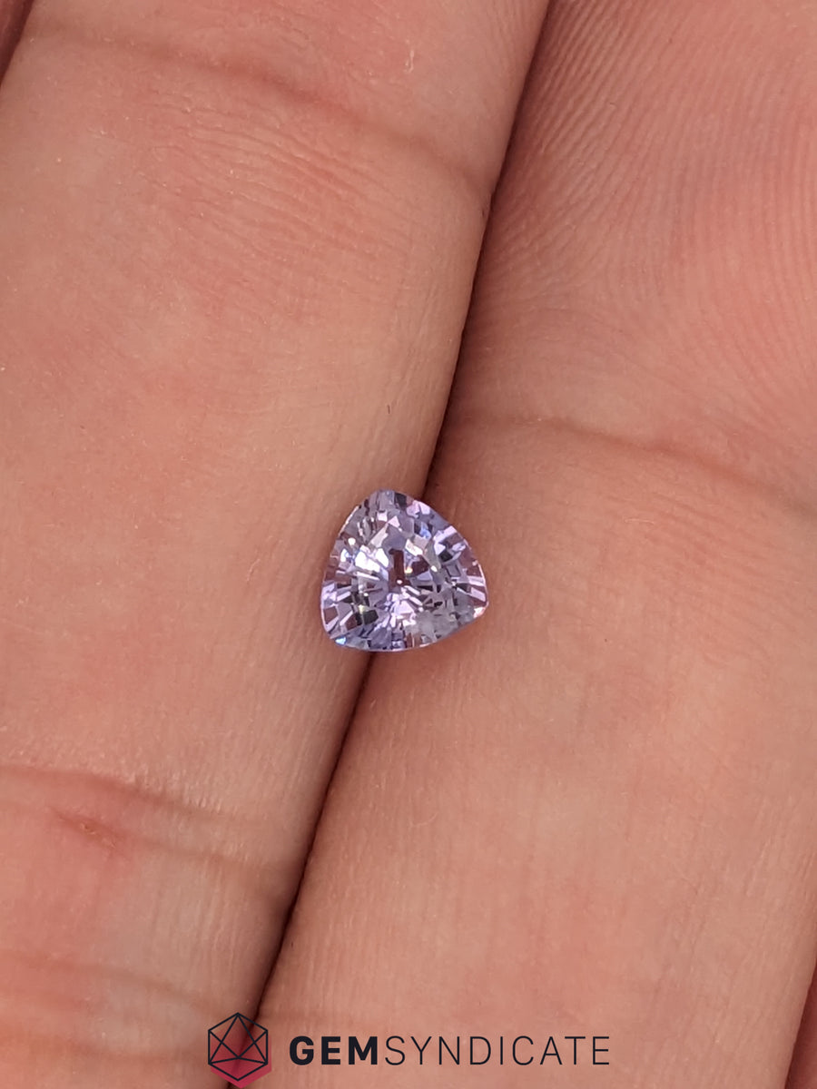 Charismatic Trillion Purple Sapphire 0.58ct – The Gem Syndicate
