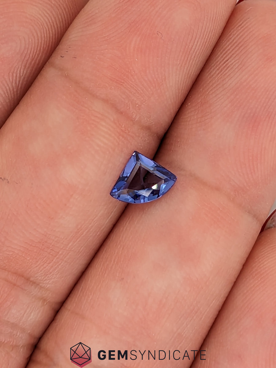 Energetic Pie Shape Purple Tanzanite 0.57ct – The Gem Syndicate
