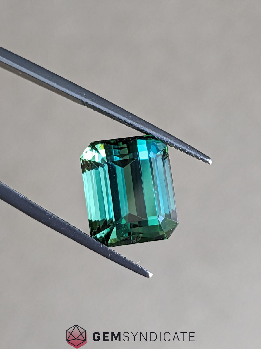 Empowering Emerald Cut Green Tourmaline 12.24ct – The Gem Syndicate
