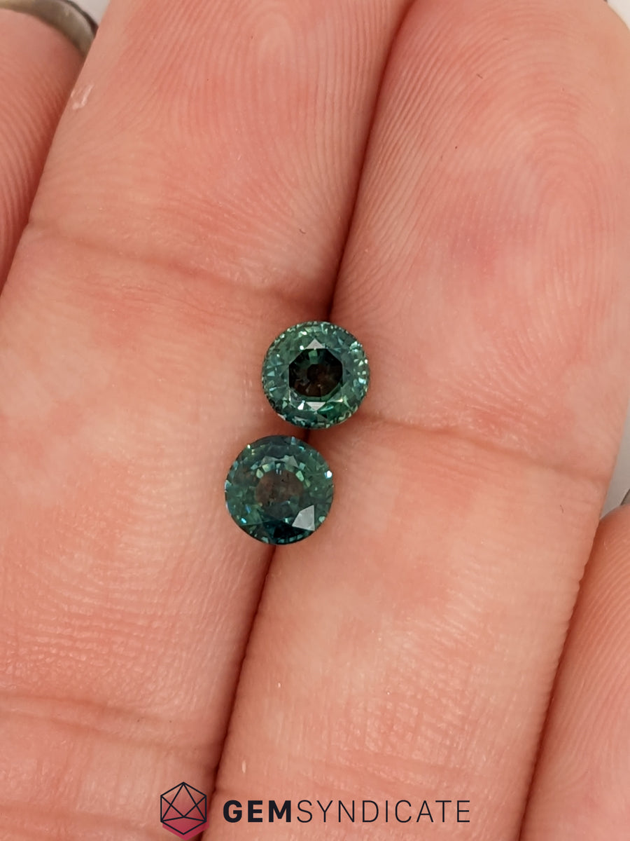 Splendid Round Teal Sapphire Pair 1.50ctw – The Gem Syndicate